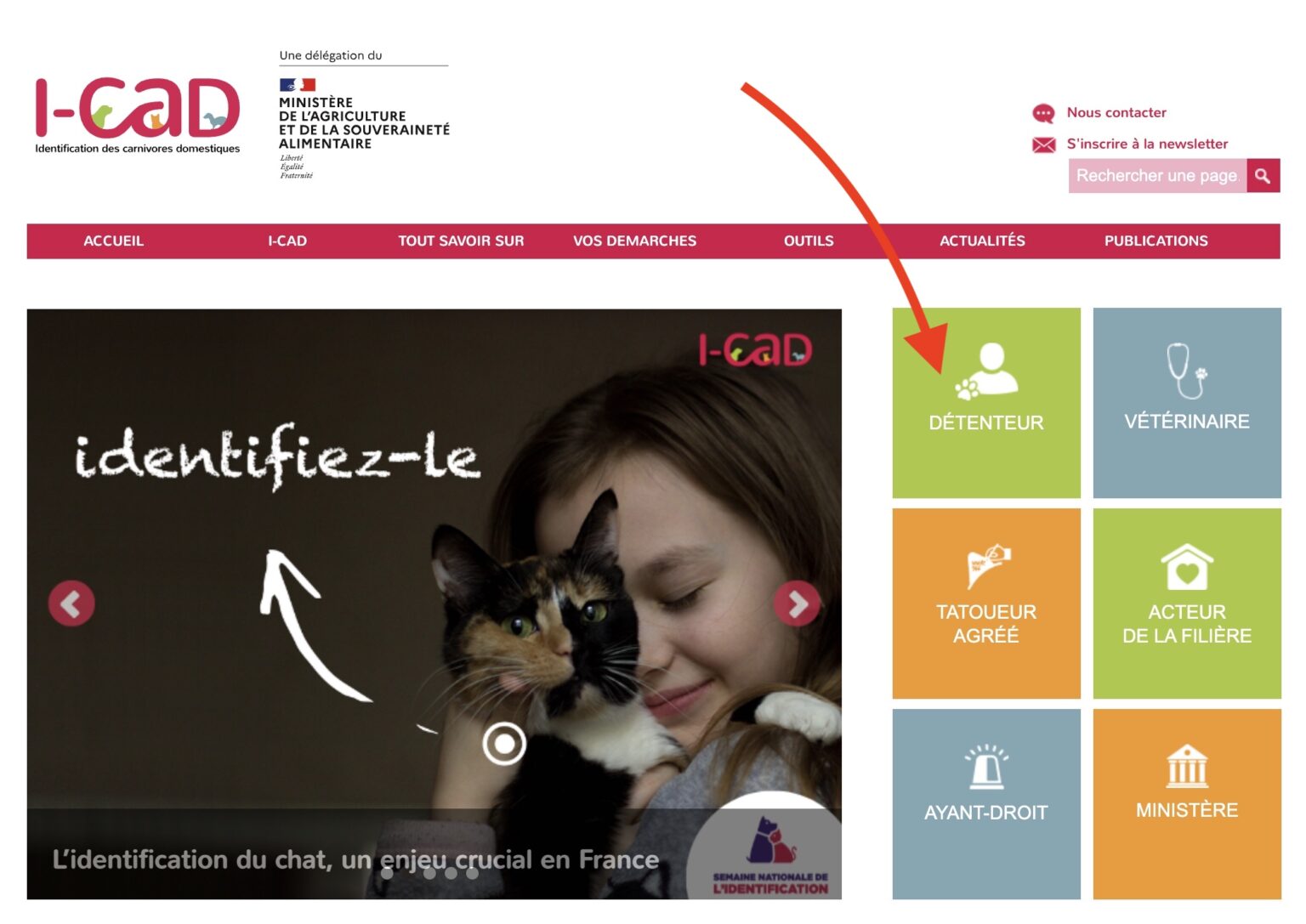 Votre chat après sa mort, où l'enterrer ? La vie des chats