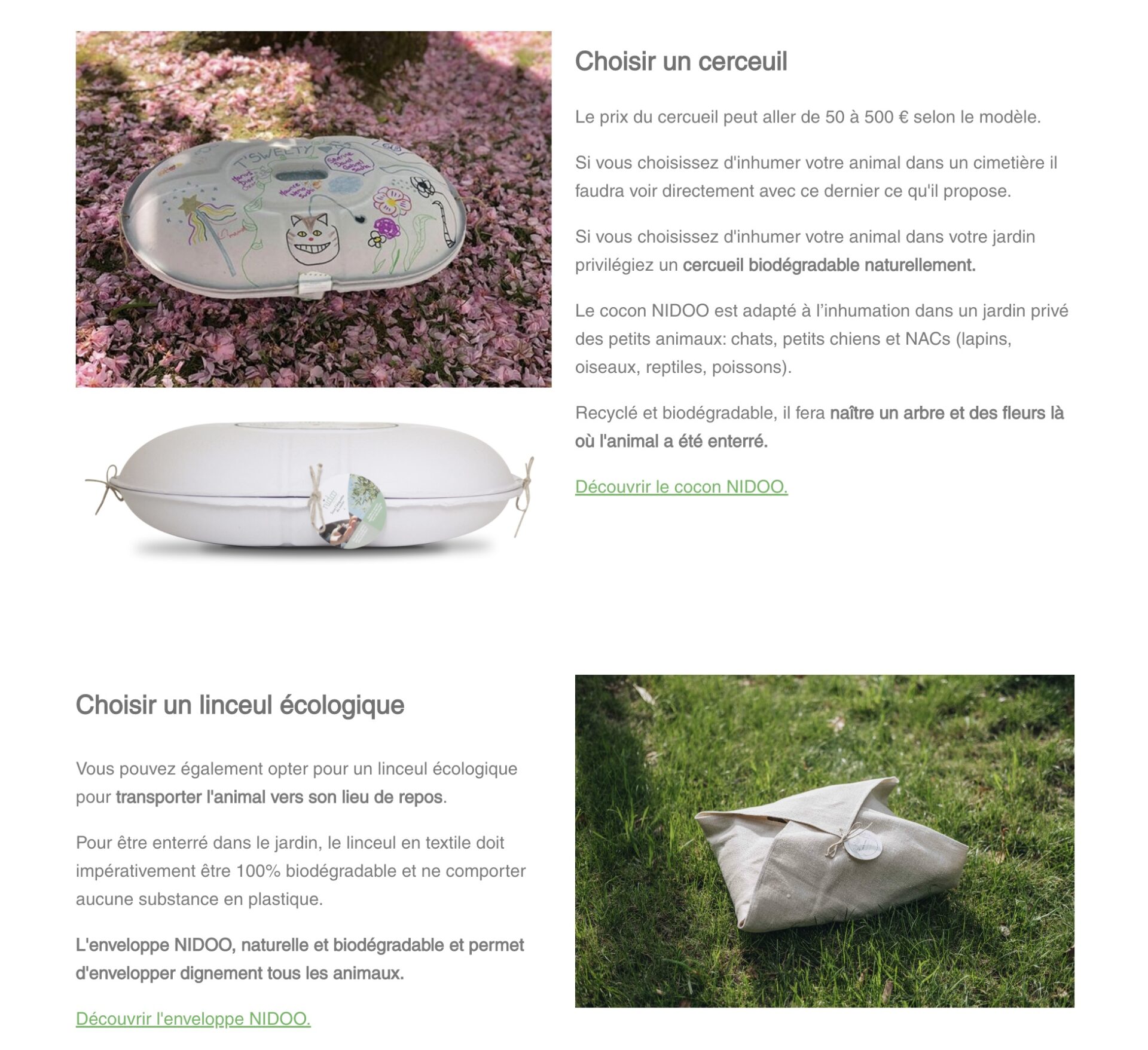 Votre chat après sa mort, où l'enterrer ? La vie des chats