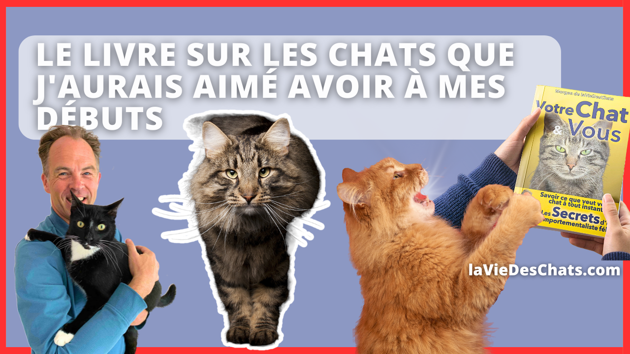 Le livre sur les chats que j'aurais aimé avoir à mes débuts La vie des chats