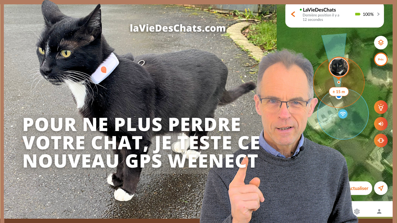 Pour ne plus perdre votre chat, je teste ce nouveau GPS Weenect